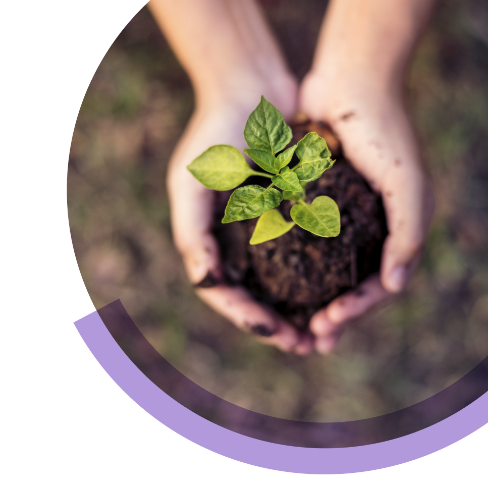 Carbon Offsetting: How It Works and the Benefits for Businesses