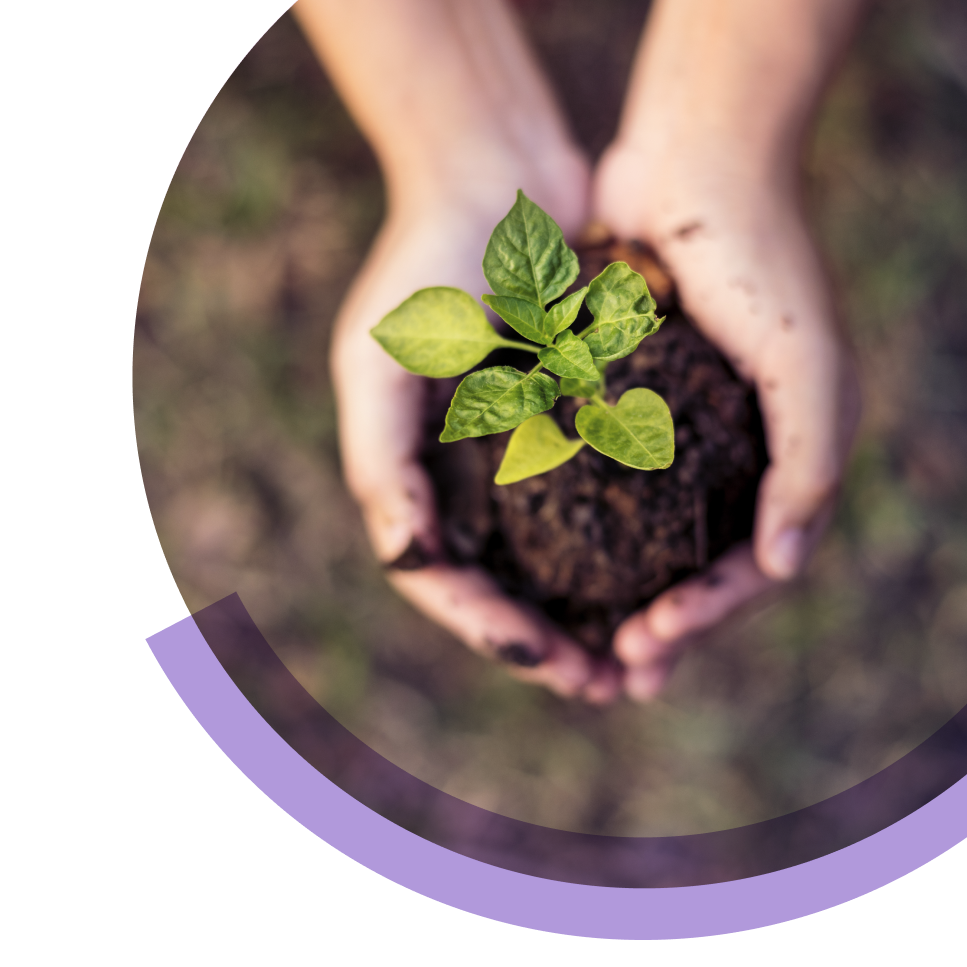 Carbon Offsetting: How It Works and the Benefits for Businesses