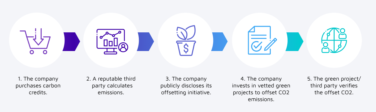 Carbon Offsetting: How It Works and the Benefits for Businesses